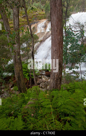 Eurobin Falls, Mount Buffalo National Park, Victoria, Australia Stock ...