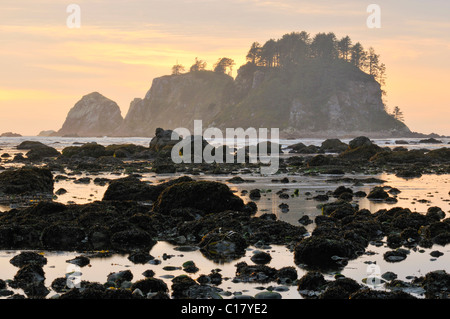 Olympic National Park Coast Stock Photo - Alamy
