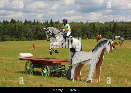 This horse and rider are navigating a log jump obstacle on a 3-day ...
