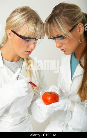 Scientists injecting tomato Stock Photo - Alamy
