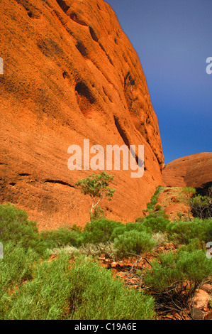 Kata Tjuta (Mount Olga). Kata Tjuta, also known as Mount Olga or 'The ...