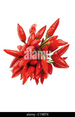 Bunches of red chili's Stock Photo - Alamy
