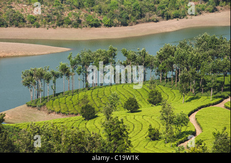 Peaceful riverside field Stock Photo - Alamy