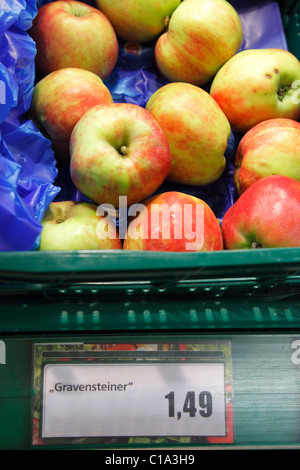 Apfel (Malus domestica 'Gravensteiner' Stock Photo - Alamy