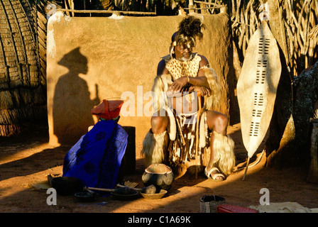 Zulu man in traditional clothes of animal skin. The headdress and apron ...