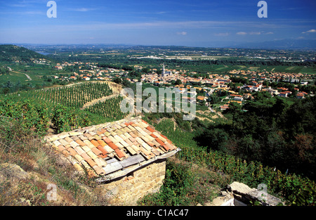 France, Ardeche, Cornas, the village and AOC Cotes du Rhone vineyard ...