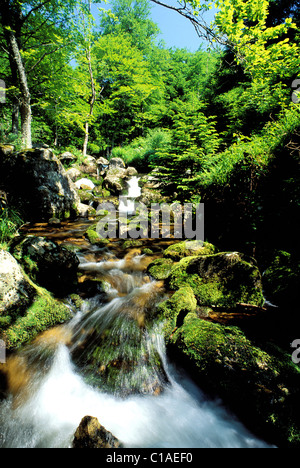 France, Auvergne, Forez Mountains Stock Photo - Alamy