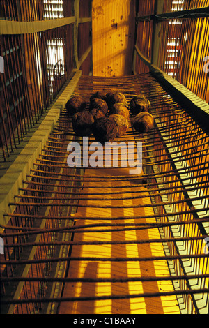 France, Tarn, Magrin castle, pastel museum Stock Photo - Alamy