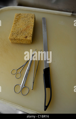 Post Mortem Instruments Stock Photo - Alamy