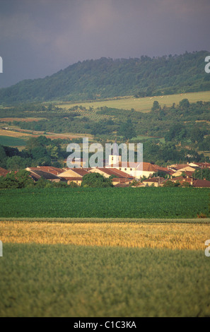France, Meurthe et Moselle, Bayon, manor in neo romanesque style built ...