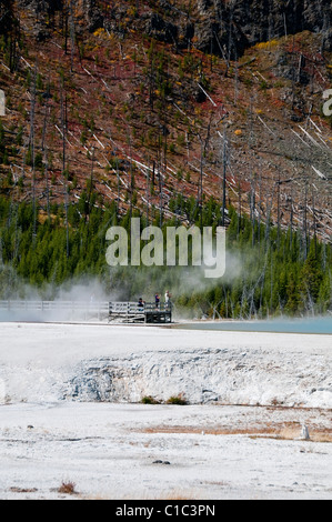 Upper Geyser Basin,Geysers,Autumn Leaves, Sulphurous, Mudpots, Pools ...
