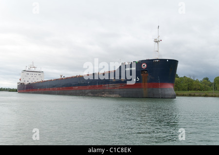 Bulk carrier "Algoma Guardian" as seen navigating the Welland Canal ...