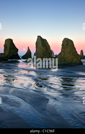 Moon sets as sunrise color bathes the many sea stacks at Oregon's ...