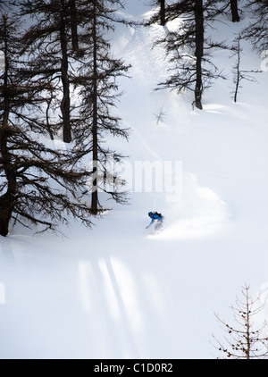 Snowboarder in powder snow, Italy Stock Photo - Alamy