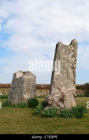 King Doniert's Stone Stock Photo - Alamy