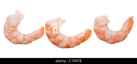 Shrimp or prawn isolated on white background with clipping path Stock ...