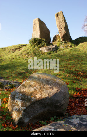 Burial chamber of Coldrum Long Barrow in Kent UK Stock Photo - Alamy