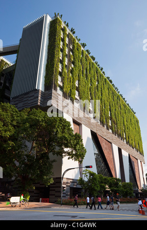 School of the Arts Singapore (SOTA) buidling, Singapore Stock Photo - Alamy