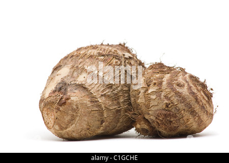 Taro (Japanese satoimo or sato-imo) (Colocasia esculenta) growing in a ...