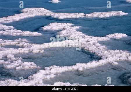 Dead Sea. Evaporated salt Stock Photo - Alamy