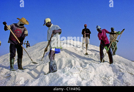 Senegal, Sine Saloum area, salt pen near the city of Kaolock, men ...