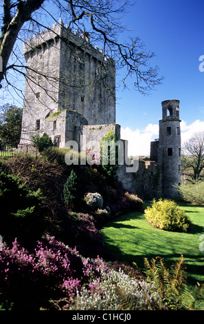Republic of Ireland, county Cork Stock Photo - Alamy