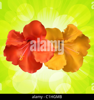 Red and yellow tropical floral botanical flowers. Wild spring leaf ...