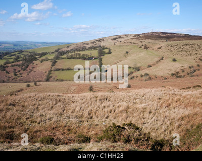 The top of Abdon Burf, the highest point in Shropshire, 540 metres ...