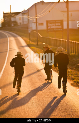 Amish children ride push scooters to church during sunrise in Bird in ...