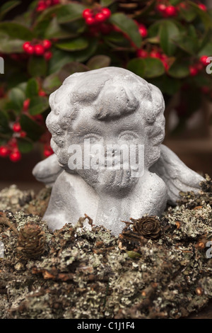 Checkerberry (Gaultheria procumbens) with Christmas decoration Stock ...