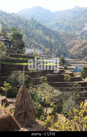 Landscape in the Nepali hills Stock Photo - Alamy