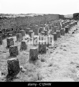 Headstones Black and White Stock Photo - Alamy
