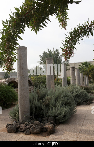 The Eretz Israel Museum AKA Haaretz Museum, Tel Aviv, Israel Stock ...