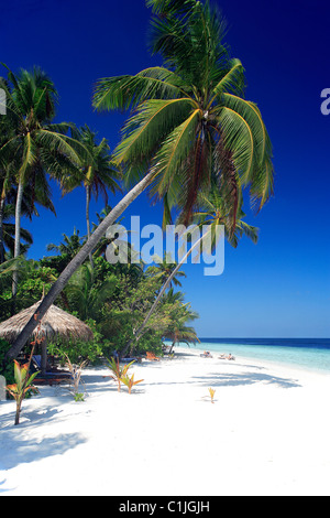 Maldives, Faafu Atoll (80 miles south of Male), inhabited Island by ...