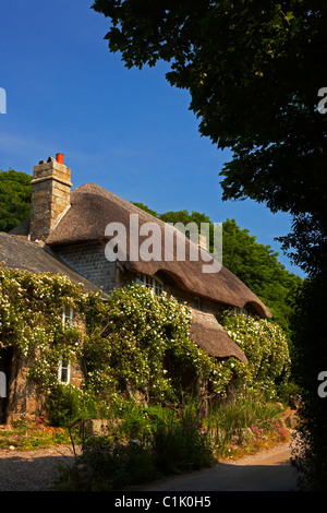 Rose covered Cornish cottage, Penberth, Cornwall, UK - John Gollop ...
