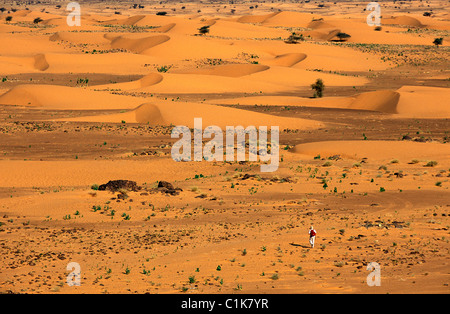 Mauritania,Adrar,Chinguetti,desert,Sand dunes,Africa,dunes,hills ...