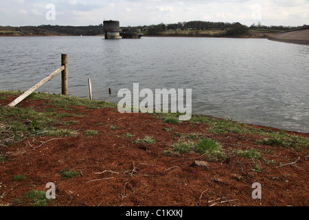 Roadford reservoir, Devon, England, UK Stock Photo - Alamy