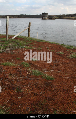 Low water level at Roadford Reservoir Broadwoodwidger Devon England UK ...