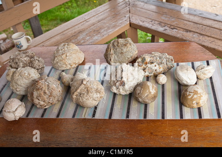 Collecting agate rocks at Mine d'agates du Mont Lyall in Gaspésie ...