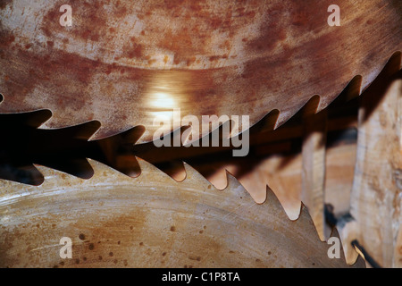 sawmill saw mill circular saws cutting wood dangerous equipment no ...