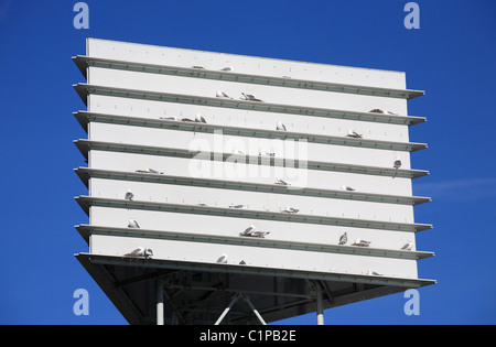 Kittiwake tower on the south bank of the river Tyne, Gateshead, NE ...