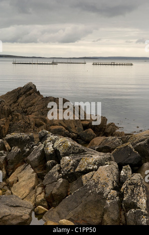 Kilkieran Bay, Connemara, County Galway, Ireland. Northeast over the ...