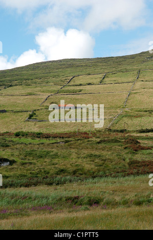 Republic of Ireland, Iveragh Peninsula, Skellig Islands, Cloghanecanuig ...