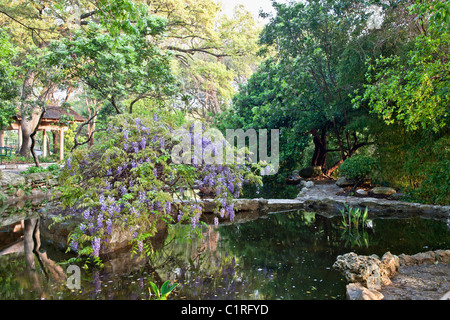 Isamu Taniguchi Japanese Garden, Zilker Botanical Garden Stock Photo ...
