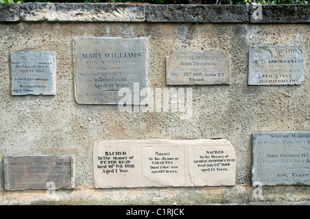 Gravestones of early settlers in Hobart's St Davids Park, Tasmania ...