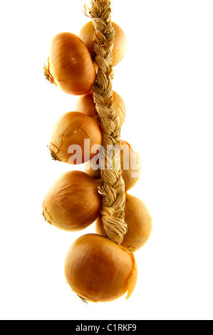 raw onions in string Stock Photo - Alamy