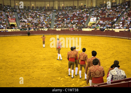 Forcados during Portuguese style bullfighting at the Campo Pequeno in ...
