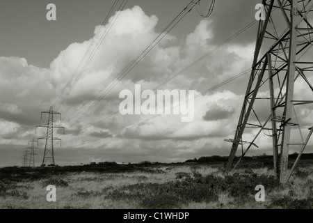 Telegraph pylons on Goss Moor NNR,Cornwall, England, UK Stock Photo - Alamy