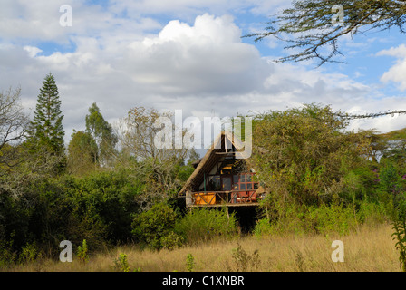 tree house in Ngong House Safari Hotel, Nairobi, Kenya, Africa Stock ...