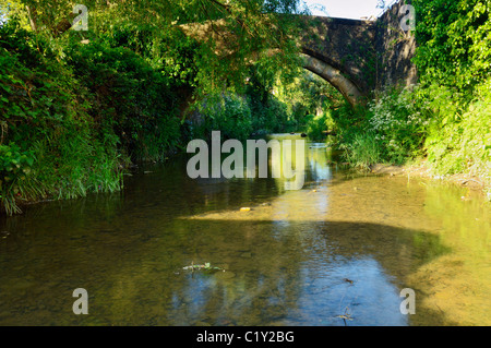 Packhorse Bridge over the River Brue at Bruton, Somerset, England Stock ...